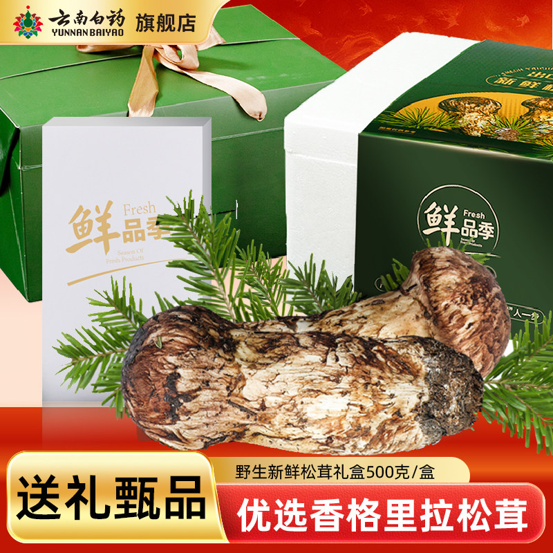 云南白药旗舰店新鲜松茸菌菇香格里拉特产菌种松茸送礼自用礼盒装