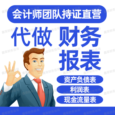 代做财务报表附注资产负债表