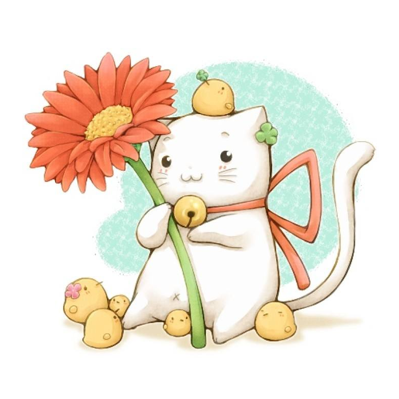 邮费专拍