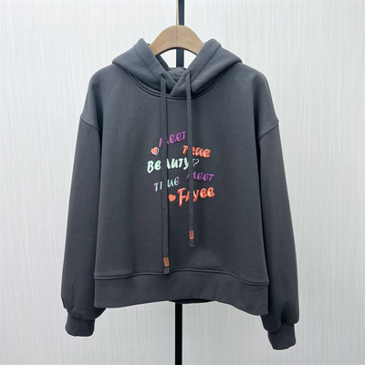 fei●2025冬季新 加绒连帽套头卫衣女休闲宽松慵懒感长袖上衣8018