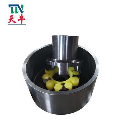 天牛厂家供应 分体式制动轮型联轴器 LMZ7-I-250 梅花联轴器