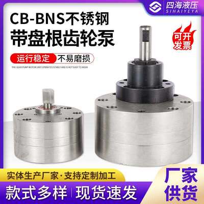CB-BNS不锈钢带盘根齿轮泵不锈钢齿轮泵抽油泵输送化工泵