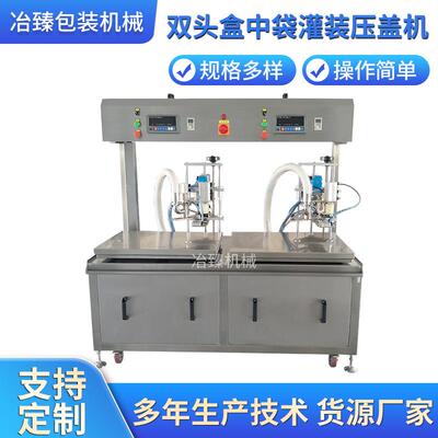 BIB双头盒中袋灌装压盖机铝箔袋液体定量包装机透明软袋灌装机
