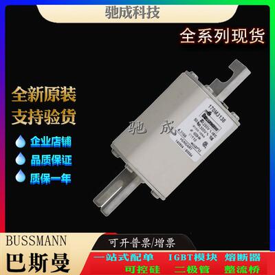 巴斯曼170M3123 170M3138 170M3139 厂价直销优价供应 快熔保险丝
