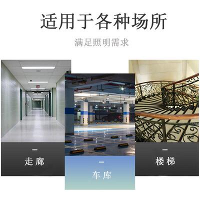 110V关2V小/探头自动红外2人0体感应开可调延时光敏智能传感器