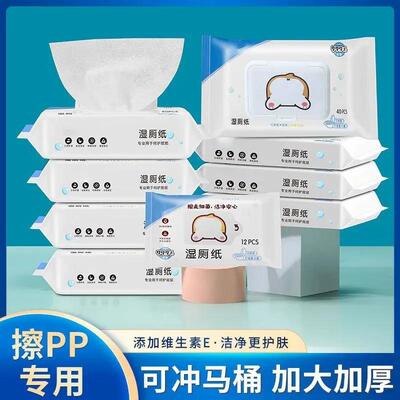 Family Value Pack of Flushable Wet Wipes, Portable Toilet We