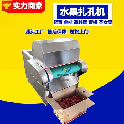 泡椒卤煮LTX花生孔入孔味机 莓蜜饯加工草莓蓝刺孔设备扎 水果扎