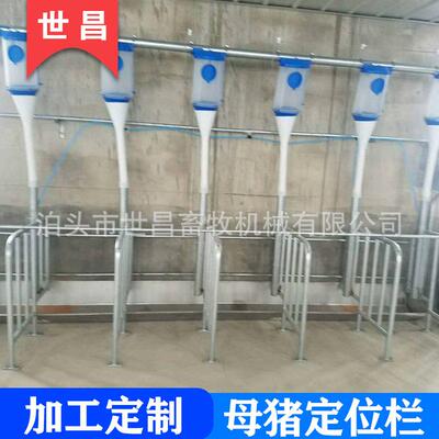 厂家优惠母猪定位字腿支撑母猪人产床定位栏小JYP栏猪保育床尺