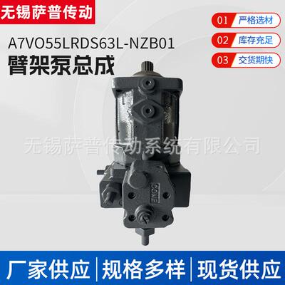 A7VO55LRDS63L-NZB01臂架泵总成工程机械配件现货厂家直发