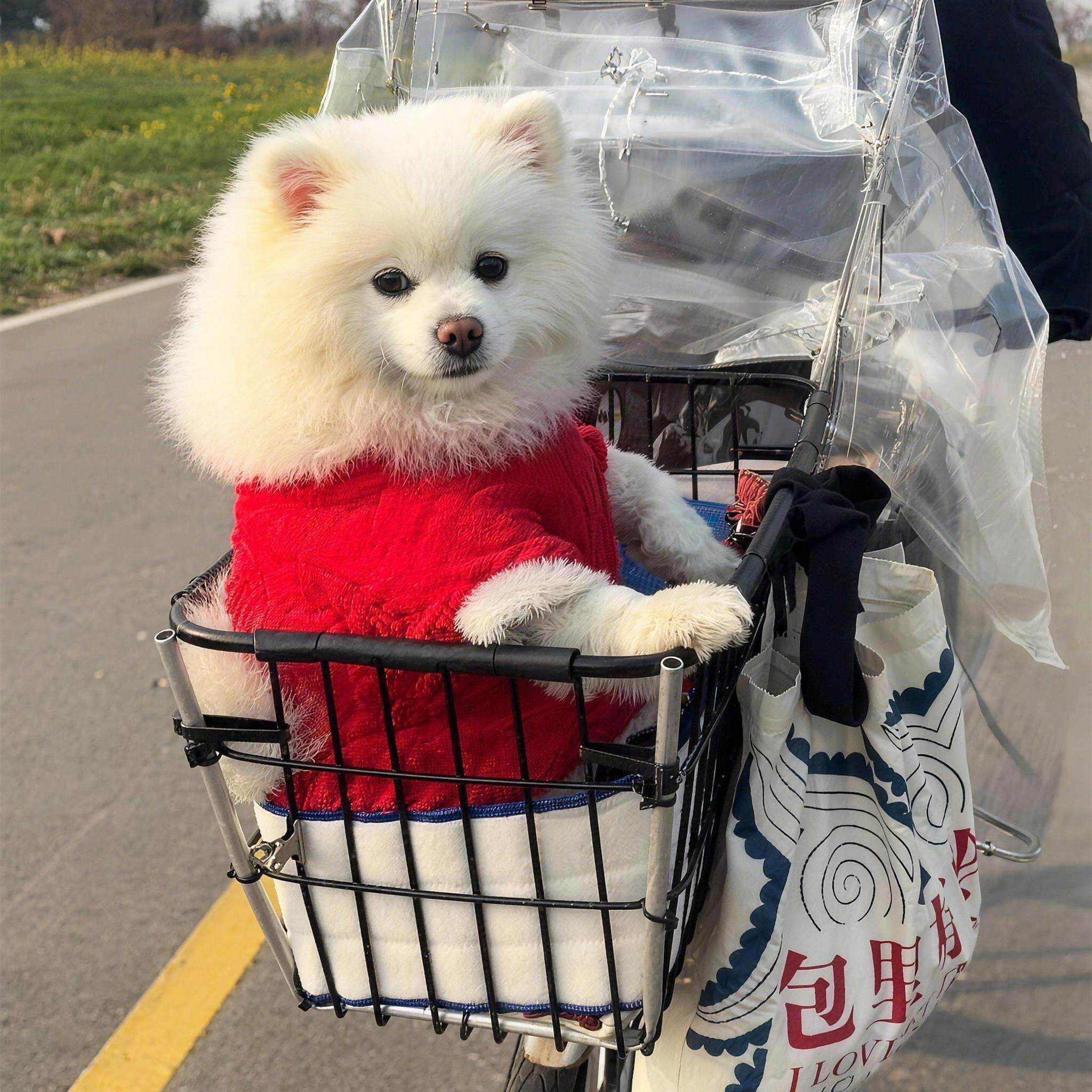 猫狗专属座椅自行车后车筐登山车公路车后座置物篮宠物出行跟随筐