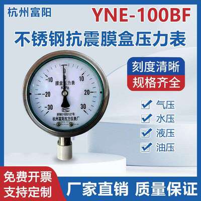 杭州富阳东方YNE-100BF不锈钢304抗振耐震膜盒压力表Kpa千帕YEN型