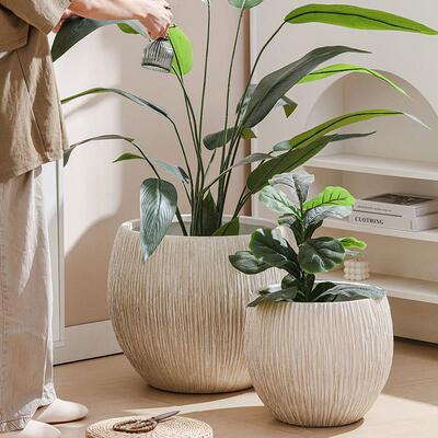 创造性的中世纪风格镁泥花盆大型千年极乐鸟Monstera Nandina竹制