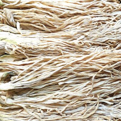 厂家供应低耗能萝卜烘干机 果蔬农产品热风循环烘箱 蔬菜烘干设备