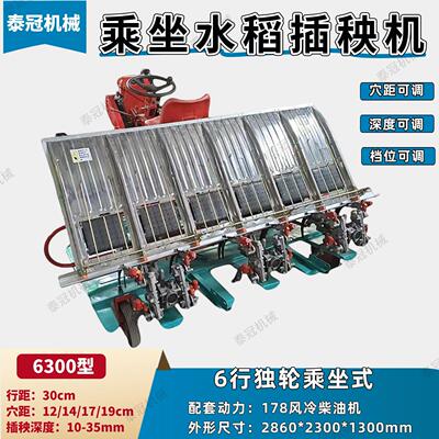 6行柴油机水稻插秧机家用独轮稻谷苗移栽机出口水稻秧苗插栽机