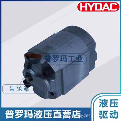 贺德克HYDAC高压齿轮泵10A3.75 4.2 5 6.1 2.5X302 348 303 330B