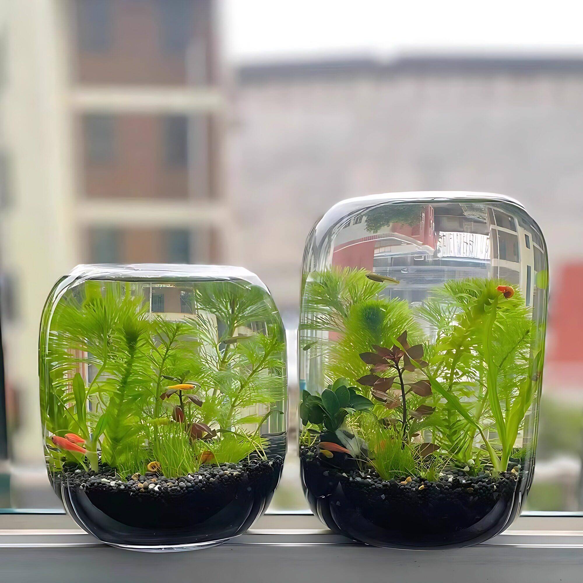 创意圆形玻璃花瓶加厚鱼缸生态瓶微景小型小鱼缸桌面装饰水培摆件