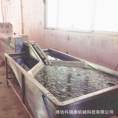 蛋品加工厂适用清洗设备 大型鸡蛋清洗机源头厂家 省人工 速度快