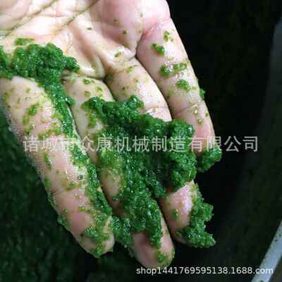鱼加速工设备双斩拌辣机浆肉馅蔬XNQ菜剁馅机葱姜蒜椒剁碎机宠物