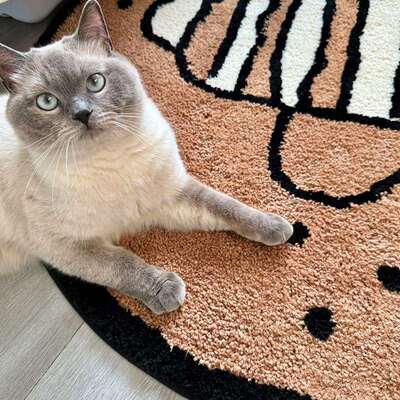 童趣圆形植绒毯地卧室地床厅边卡通地SX202506垫客书房吸水速干耐