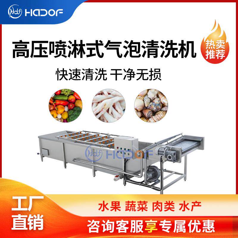 高压喷淋式气泡清洗机草莓车厘子果蔬清洗产线净菜加工设备全套