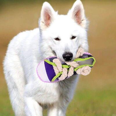 Pet Slippers Toy Puppy Toys Plaything Dog Chewing Molar