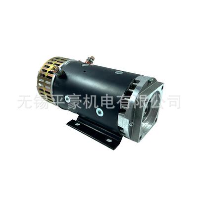源头厂家机电直插泵4873-24V/48V-4W液压直流电机一件起批
