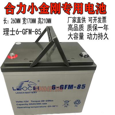 力达WWP合力HELI搬运车CBD15-170G/H理士LEOCH电瓶电池6-GFM-85