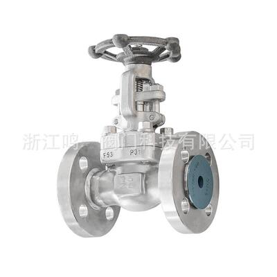 锻造双相不锈钢锻钢S2750/F5焊接法兰闸阀强酸强碱耐腐蚀零泄漏