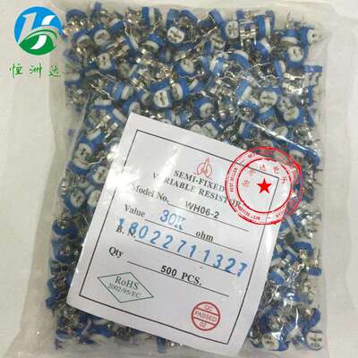 RM065-30K卧式兰白可调电阻303长期供应