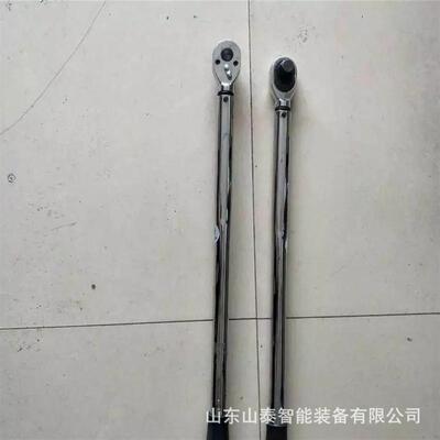 TG500预置式扭矩扳手使用方便扭矩扳手可靠性好预置式扭矩扳手