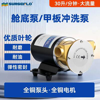 FIP-3200铜头舱底泵船舶游艇渔船大流量排水泵全铜泵头叶轮离心泵
