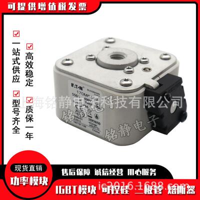 170M6458 170M6459 170M6460 170M6461 170M6462巴斯曼熔断器现货