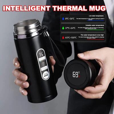 500ML-1Liter Stainless Steel Thermos Bottle with LED Tempera