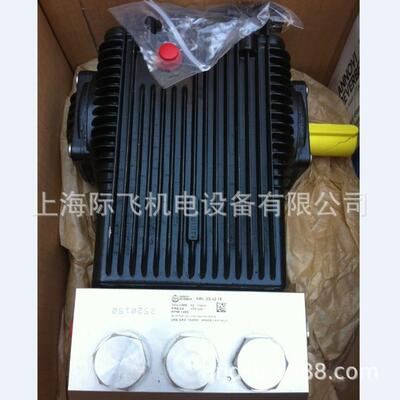 进口AR 耐腐蚀316不锈钢高压泵 RK-SS 21.15N,RK-SS15.15N
