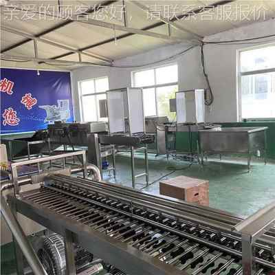诸城产中小鸡蛋鸭蛋清洗线型厂家 蛋洗蛋机鸭 自动化洁生蛋70617
