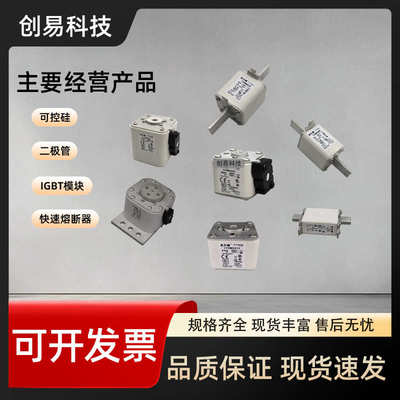 170M4608 170M4609 170M4610 170M4611 170M4612 170M4613熔断器