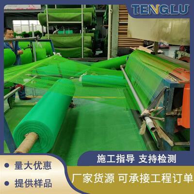 三维植被网厂家现货边坡防护绿化HDPE土工网垫植草护坡固土滑植生