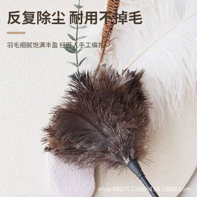 Antistatic Ostrich Feather Fur Wooden Hane Brush Duster D