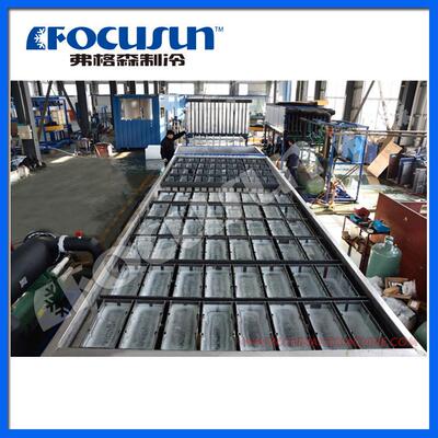 弗格森间接式块冰机FIB-150WHB,产冰量15吨每块重量可指定