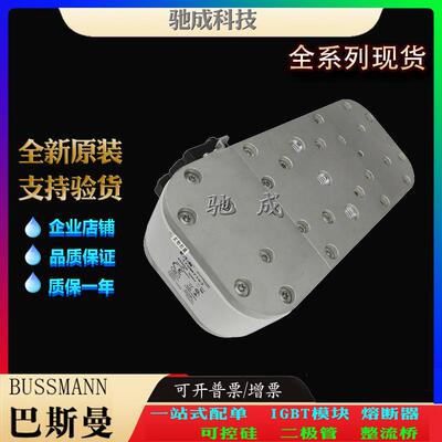 巴斯曼170M7163 170M7164 170M7165 厂价供应出厂价格 快速熔断器