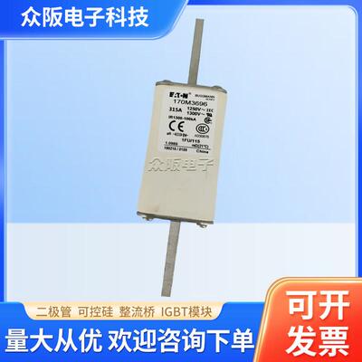 全新进口巴斯曼熔断器170M1408/170M2617/170M3693/170M4011/5144