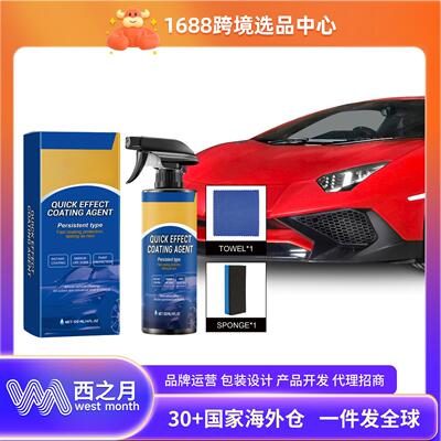 Car Coating Agent, Paint Surface Protective Coating for Cars