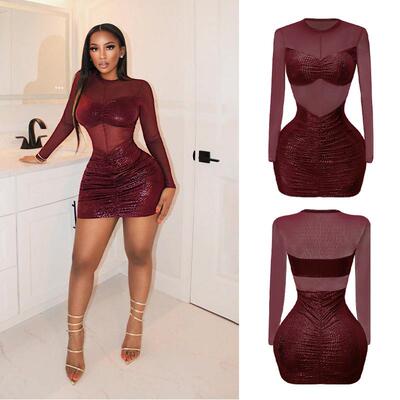 Elegant Sheer Mesh Long Sleeve Dress for Women SlimFitting
