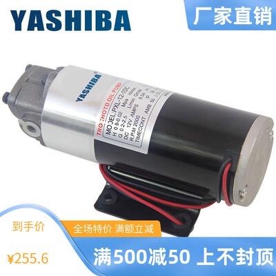 高温2v抽油泵耐直流电泵小型电动BSG自吸油泵机床1齿轮抽油换机油