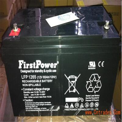 FirstPower(一电)铅酸免维护蓄电池LFP1260C12V60Ah