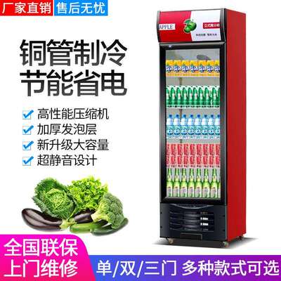 110v冷藏展示柜冰柜饮料冷饮单双三开门商用啤酒超市冰箱玻璃立式