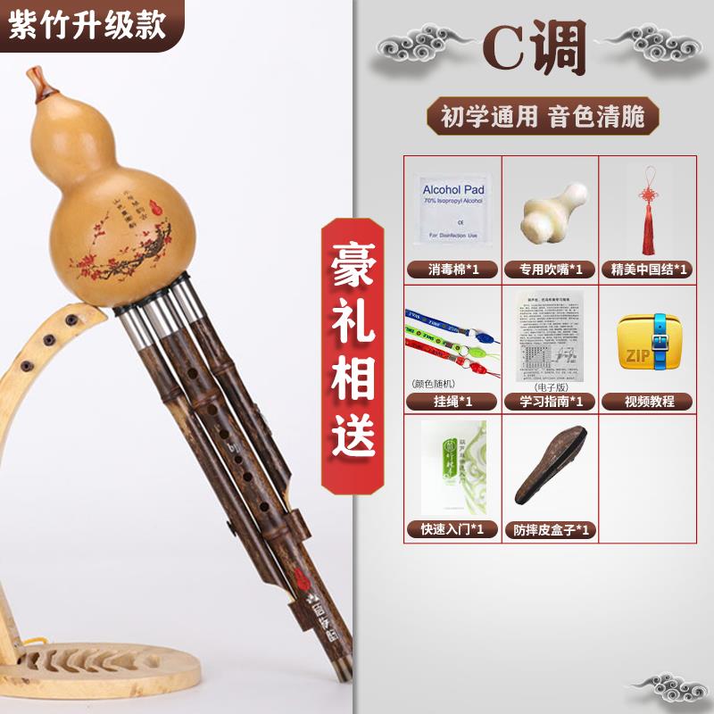 正品葫芦丝器学降b调c调乐初学者初专业奏型演小学生胡芦丝儿童教