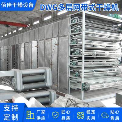 DWG网带式干燥机水果蔬菜农产品脱水烘干机多层带式干燥机厂家