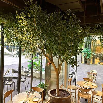 仿橄榄树大仿真tb-70096绿室植真内外型景观装饰橱窗软装造景仿真