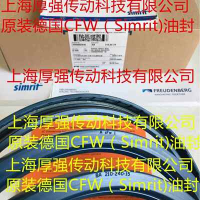 德国CFW/Simit科德N宝FRErDUEAcFw1BERG油封AcFw1BA210-240-15NBR
